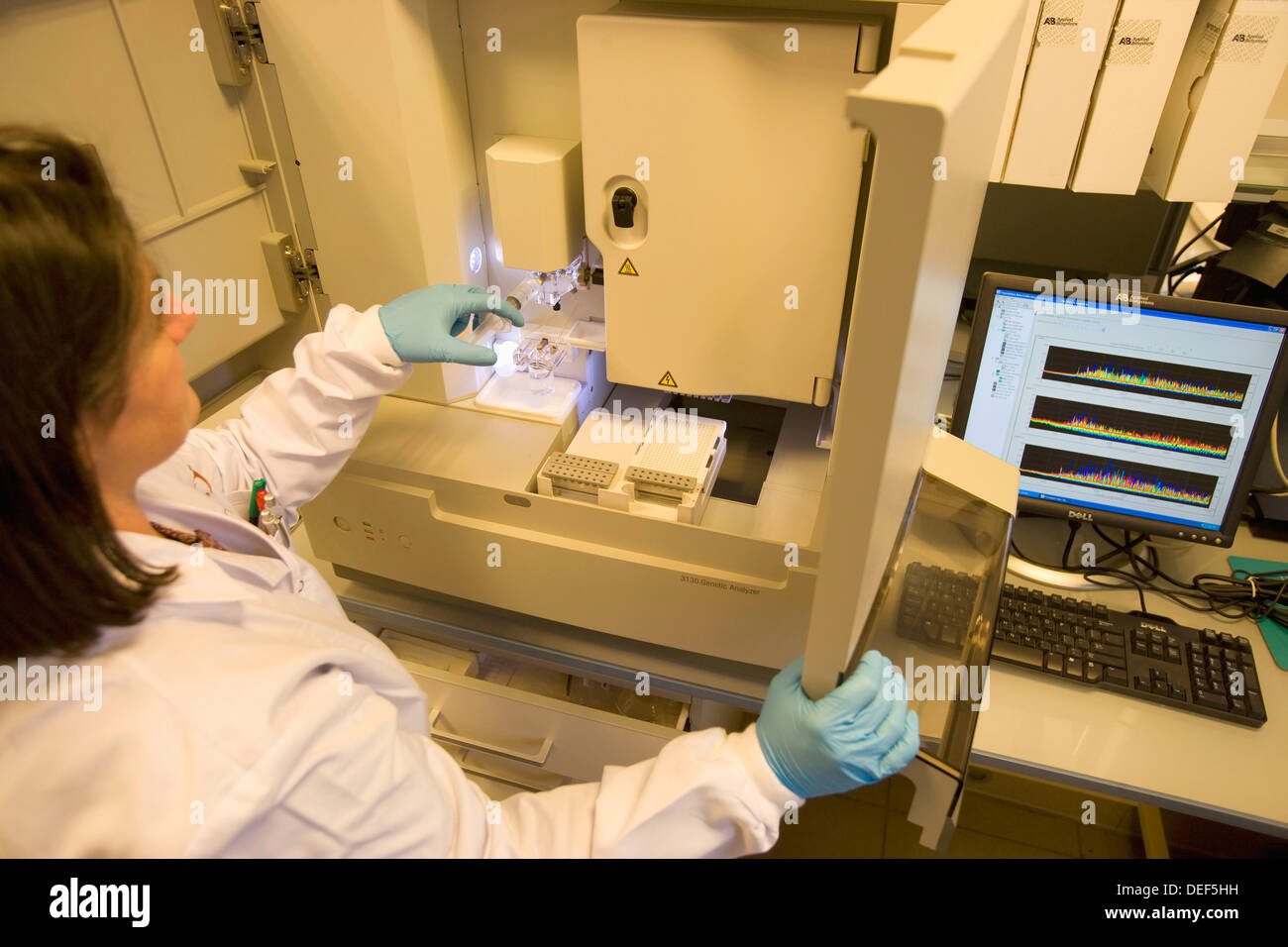 Electrophoresis equipment hi-res stock photography and images - Alamy