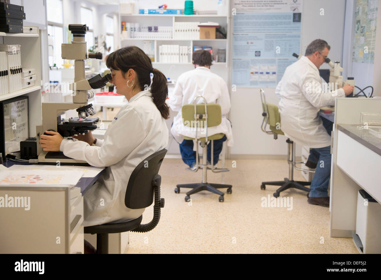 Entomology hi-res stock photography and images - Alamy