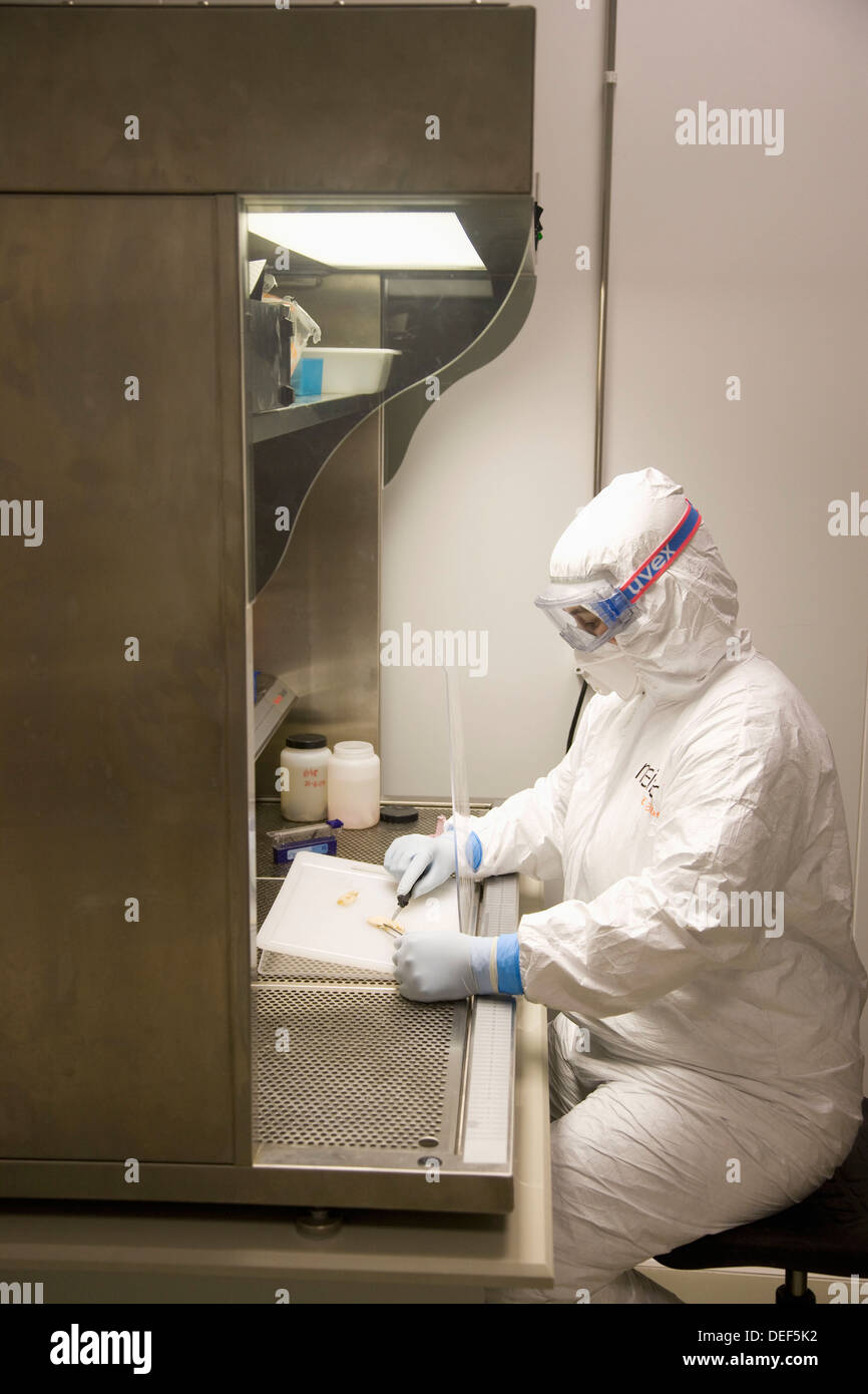 P3 laboratory hi-res stock photography and images - Alamy