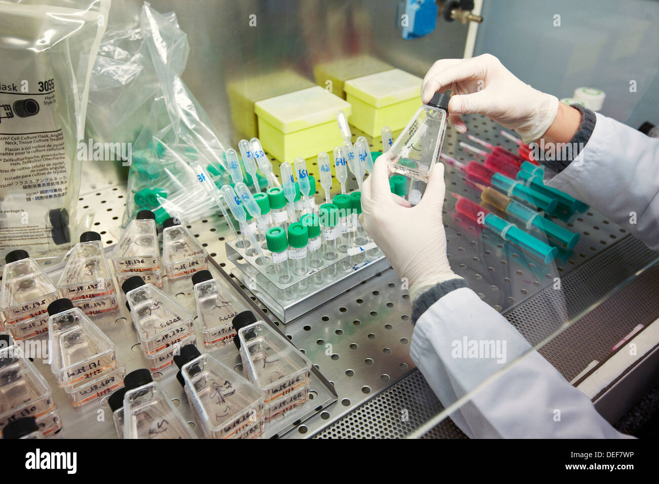 Cytogenetics laboratory hi-res stock photography and images - Alamy