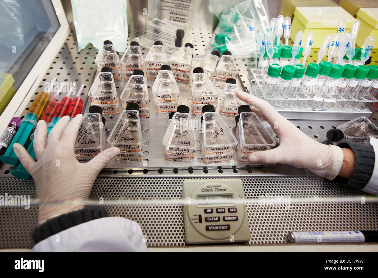 Cytogenetics Laboratory High Resolution Stock Photography and Images ...