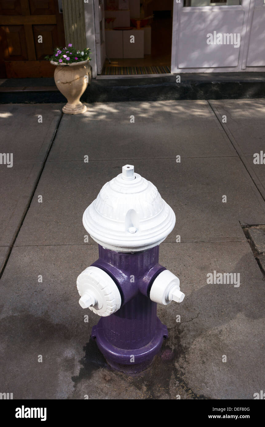 Old fire hydrant painted purple and white in New York City Stock Photo ...