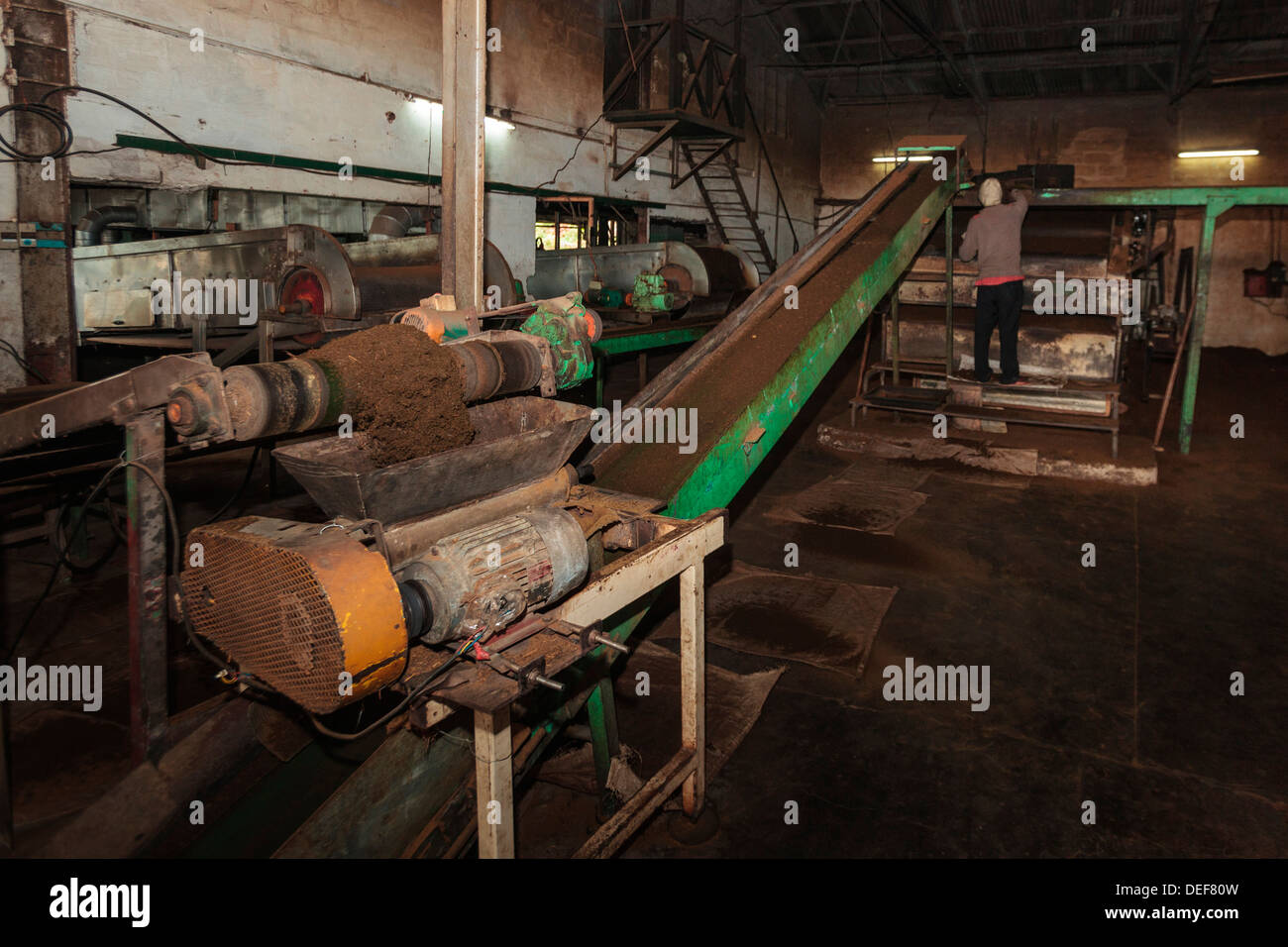 Tole Tea Estate Stock Photos & Tole Tea Estate Stock Images - Alamy