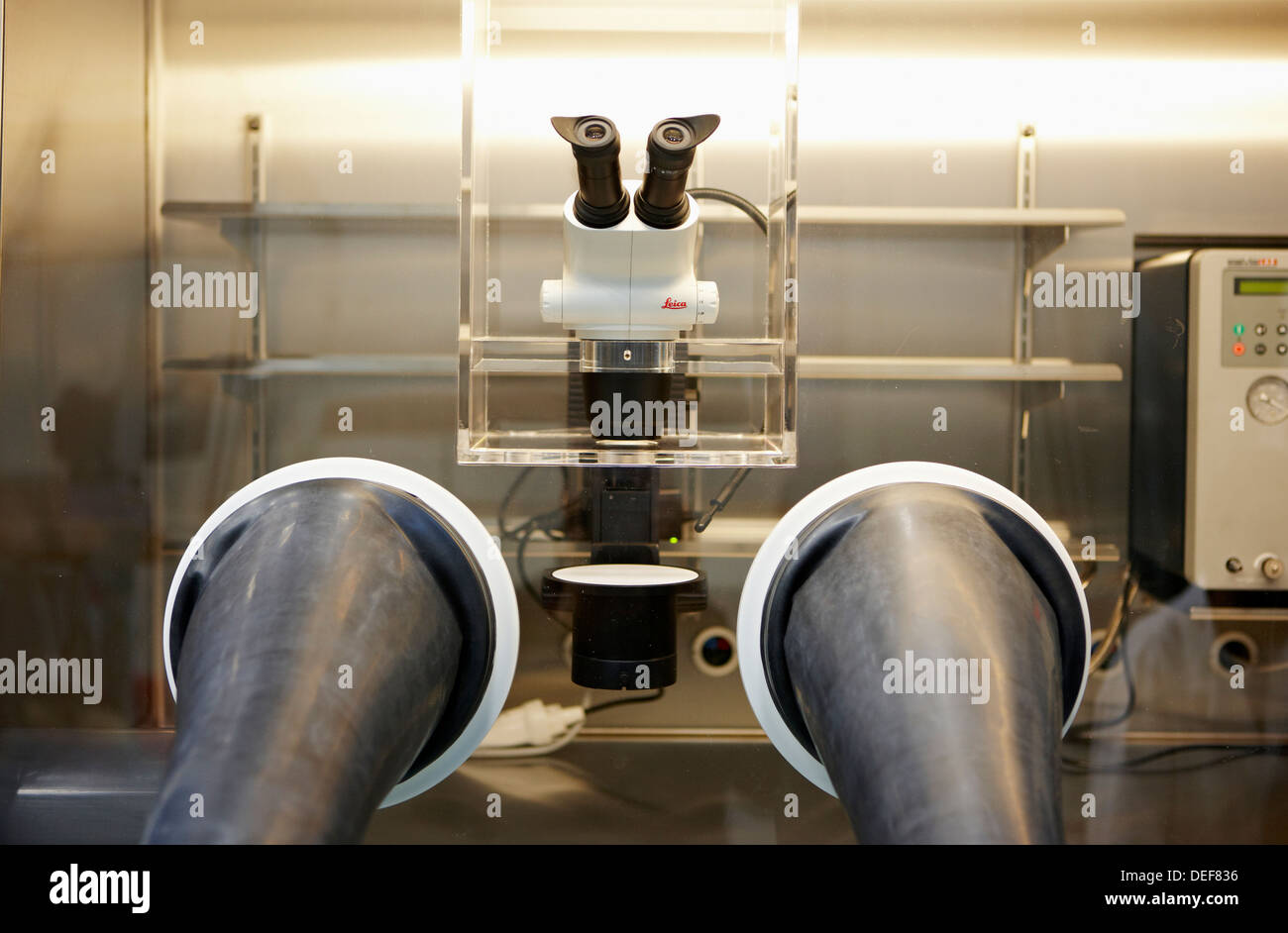 Dissecting microscope hi-res stock photography and images - Alamy