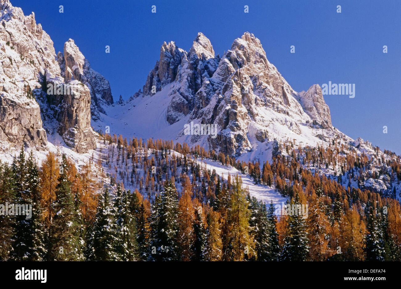 Cadin group hi-res stock photography and images - Alamy