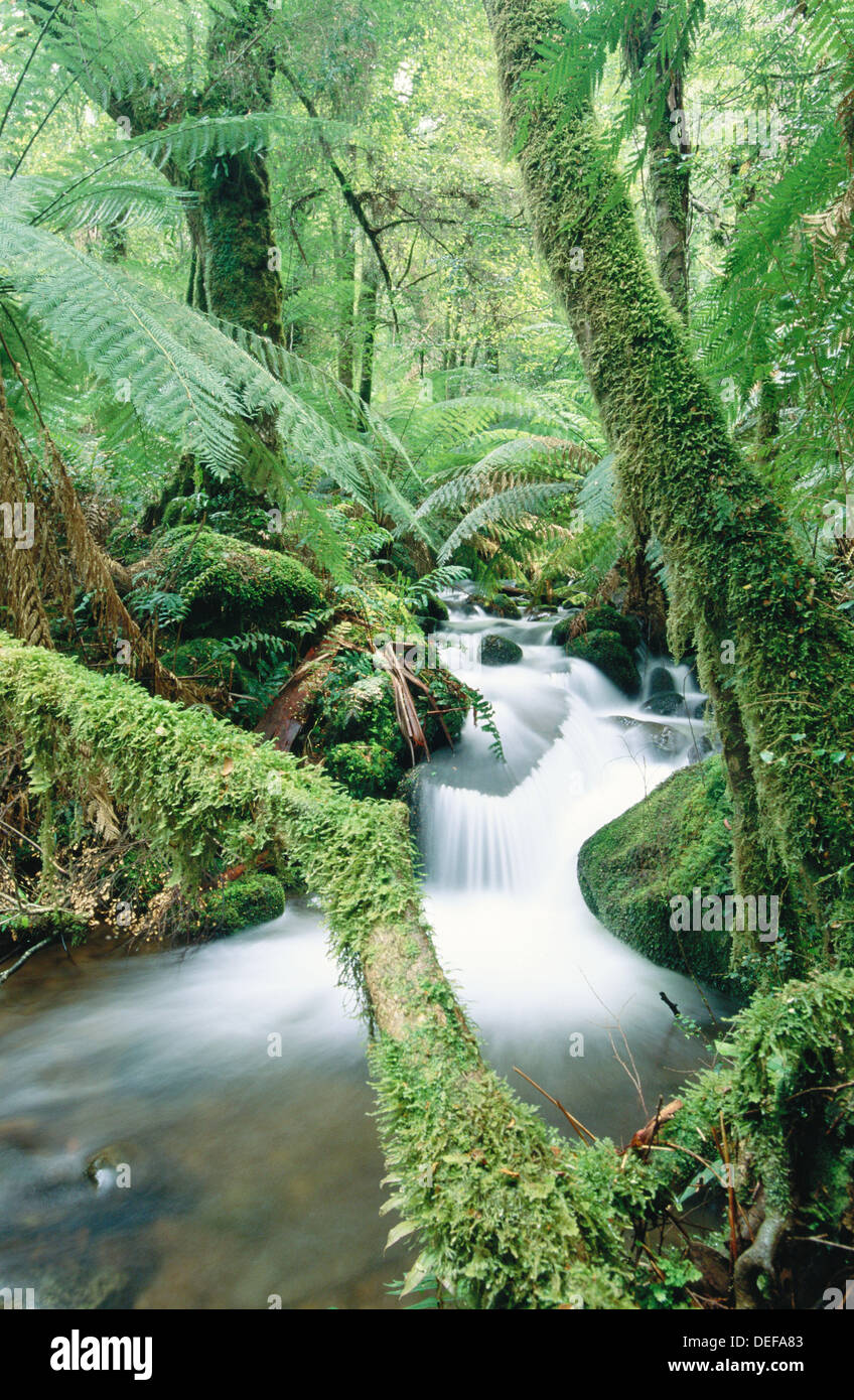 Yarra ranges creek hi-res stock photography and images - Alamy