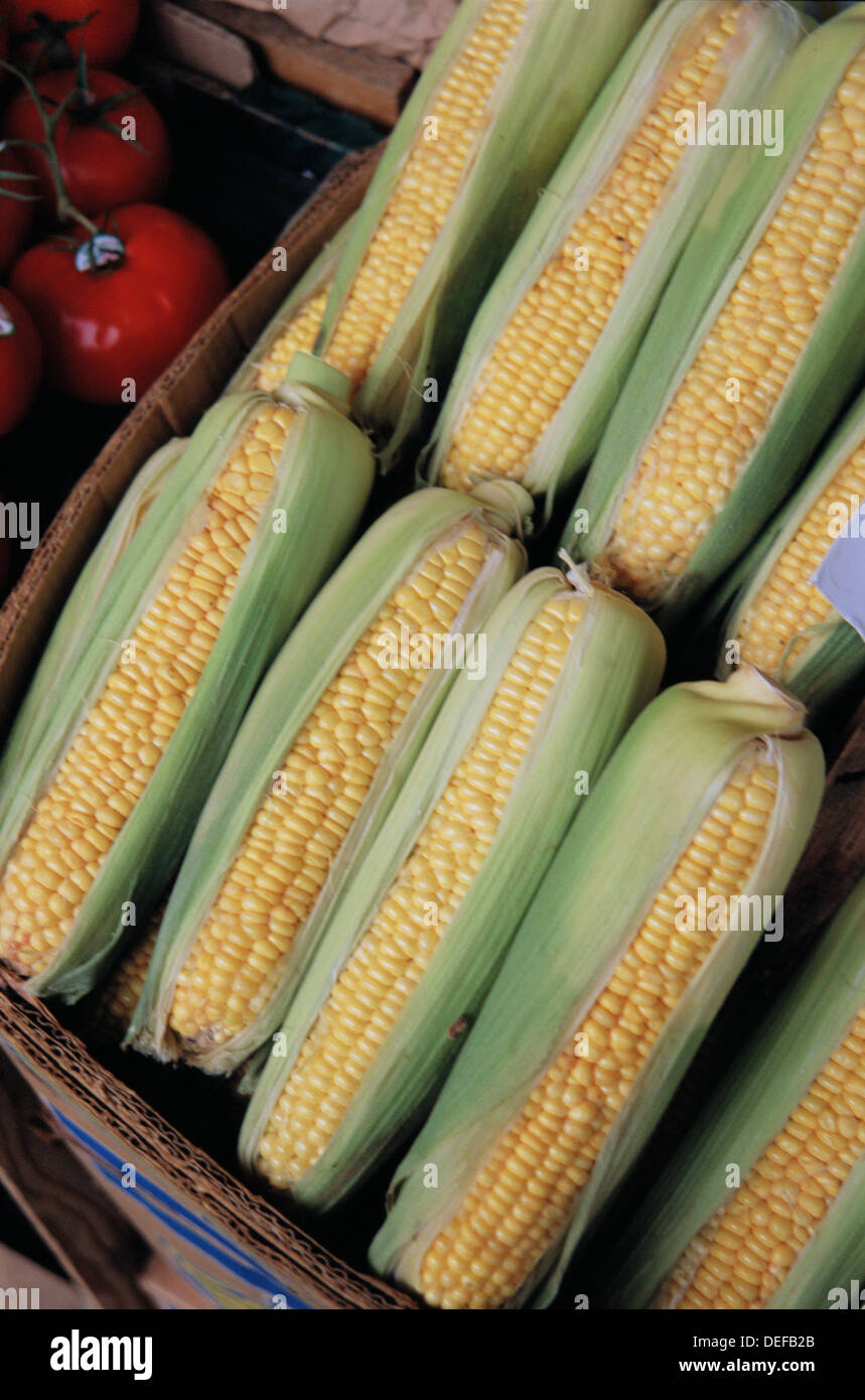 Usa farmers corn hi-res stock photography and images - Alamy