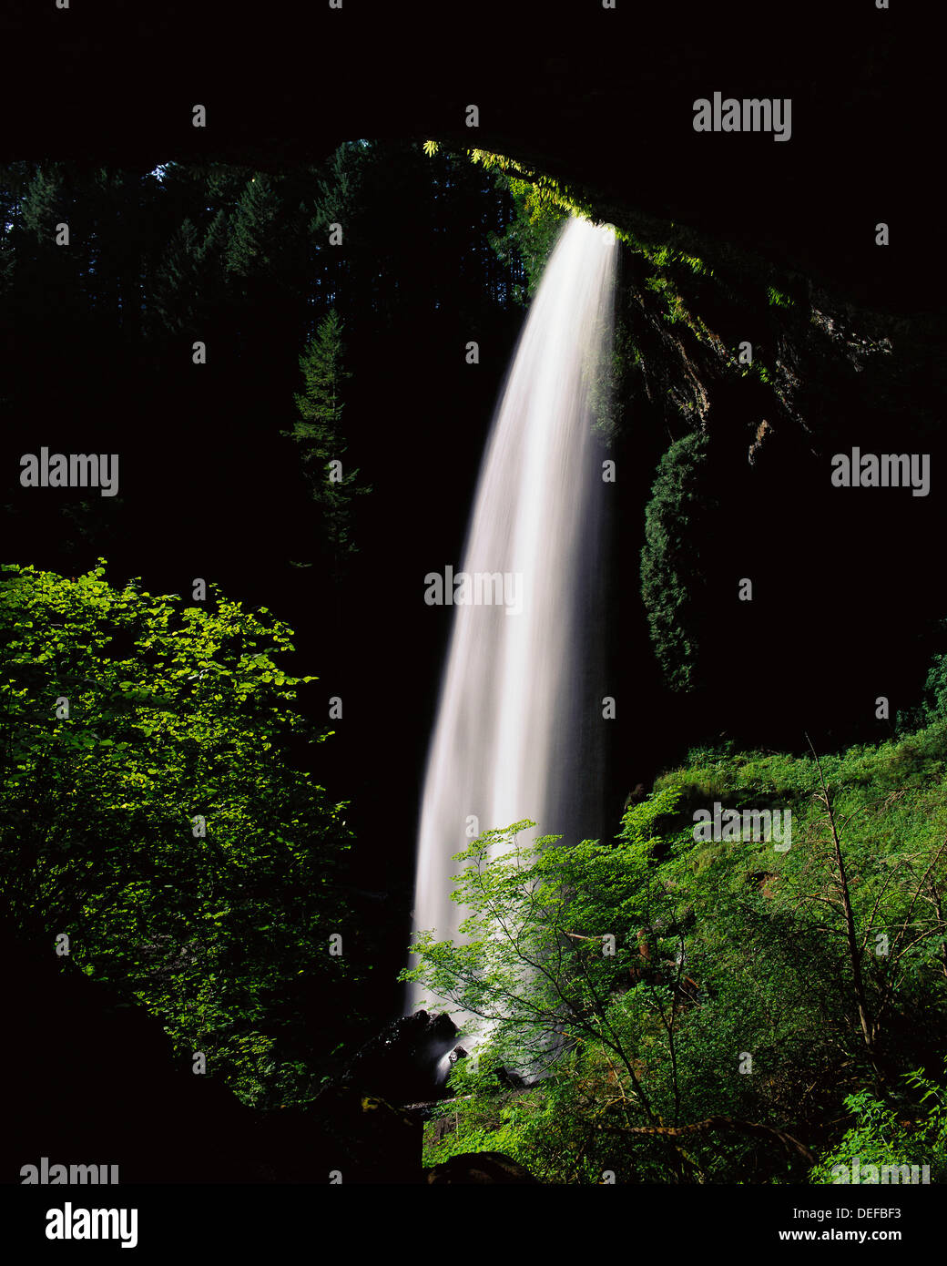 Silver Creek plunges over North Falls. Silver Falls State Park. Oregon ...
