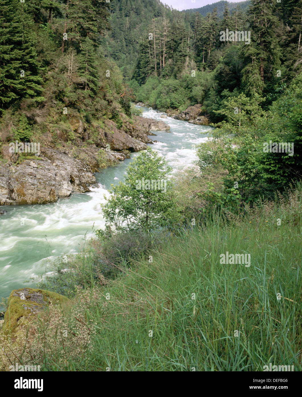Six Rivers Nf High Resolution Stock Photography and Images - Alamy