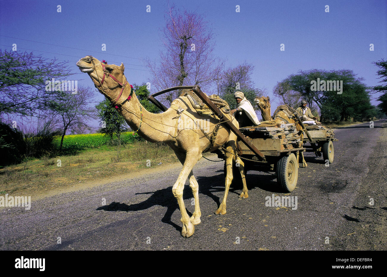 Indian rural peasants hi-res stock photography and images - Alamy