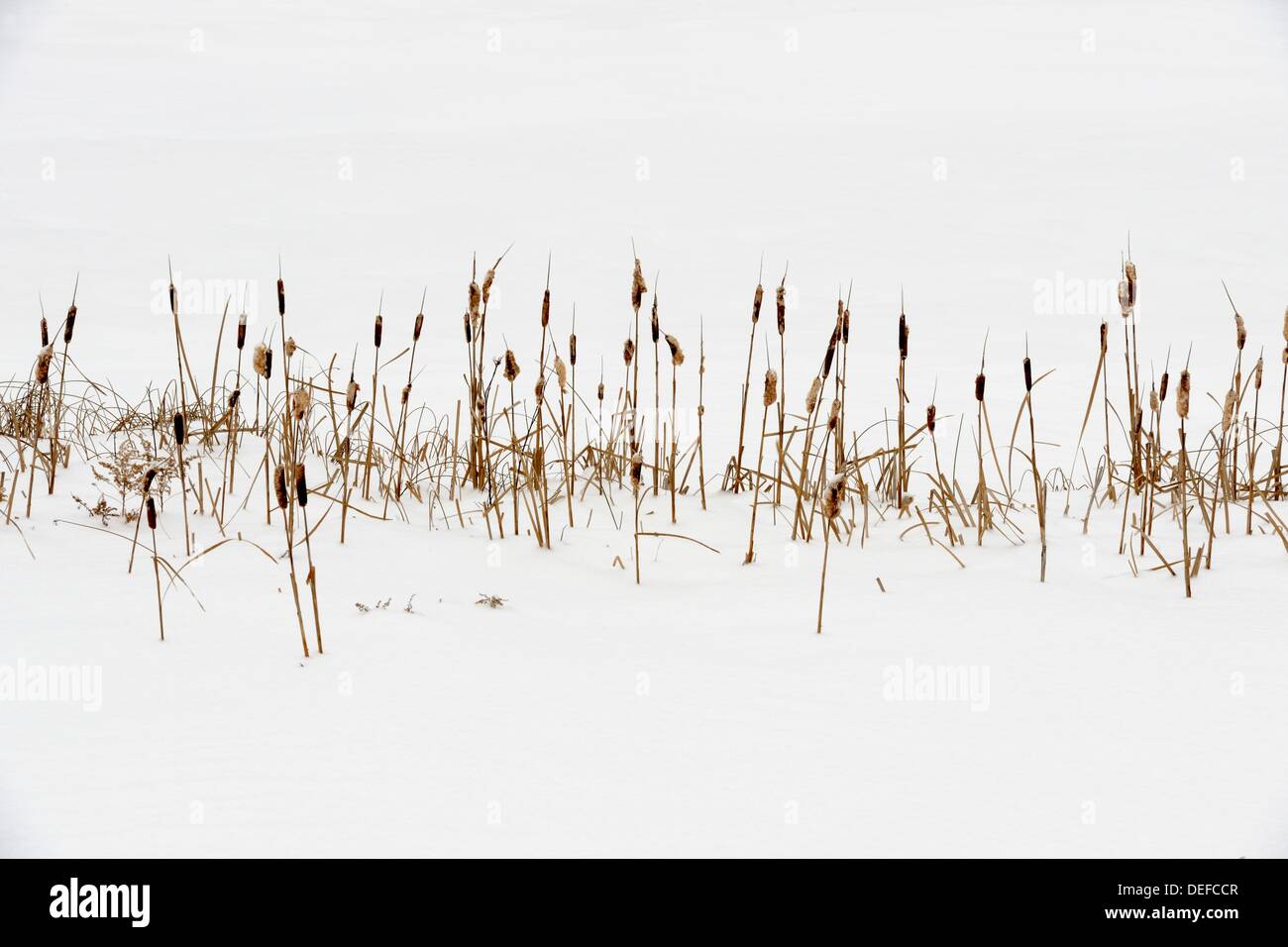 Kelly Shore High Resolution Stock Photography and Images - Alamy