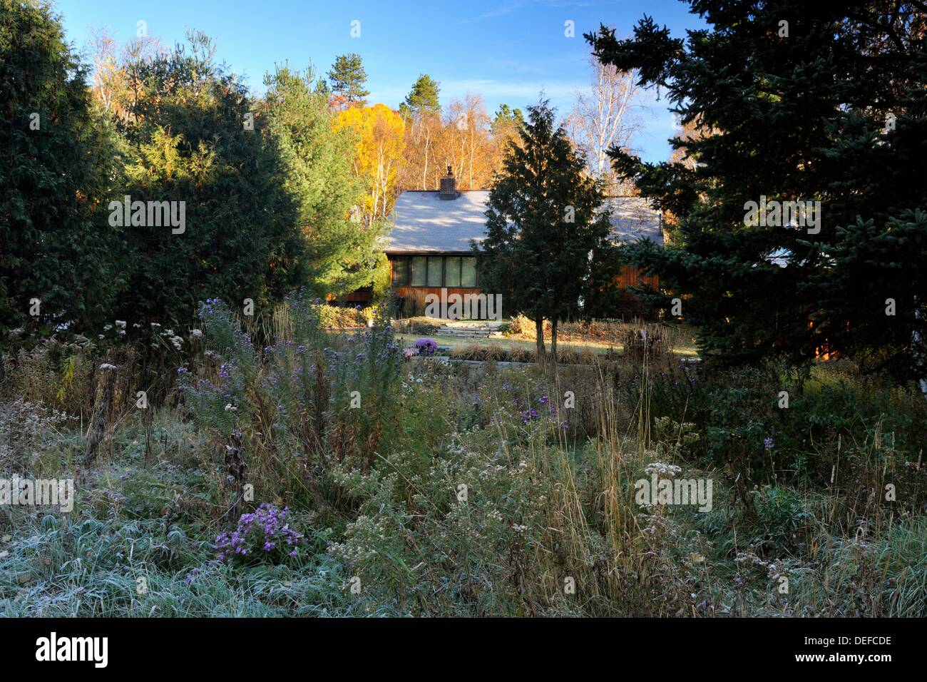 Naturalized backyard hi-res stock photography and images - Alamy