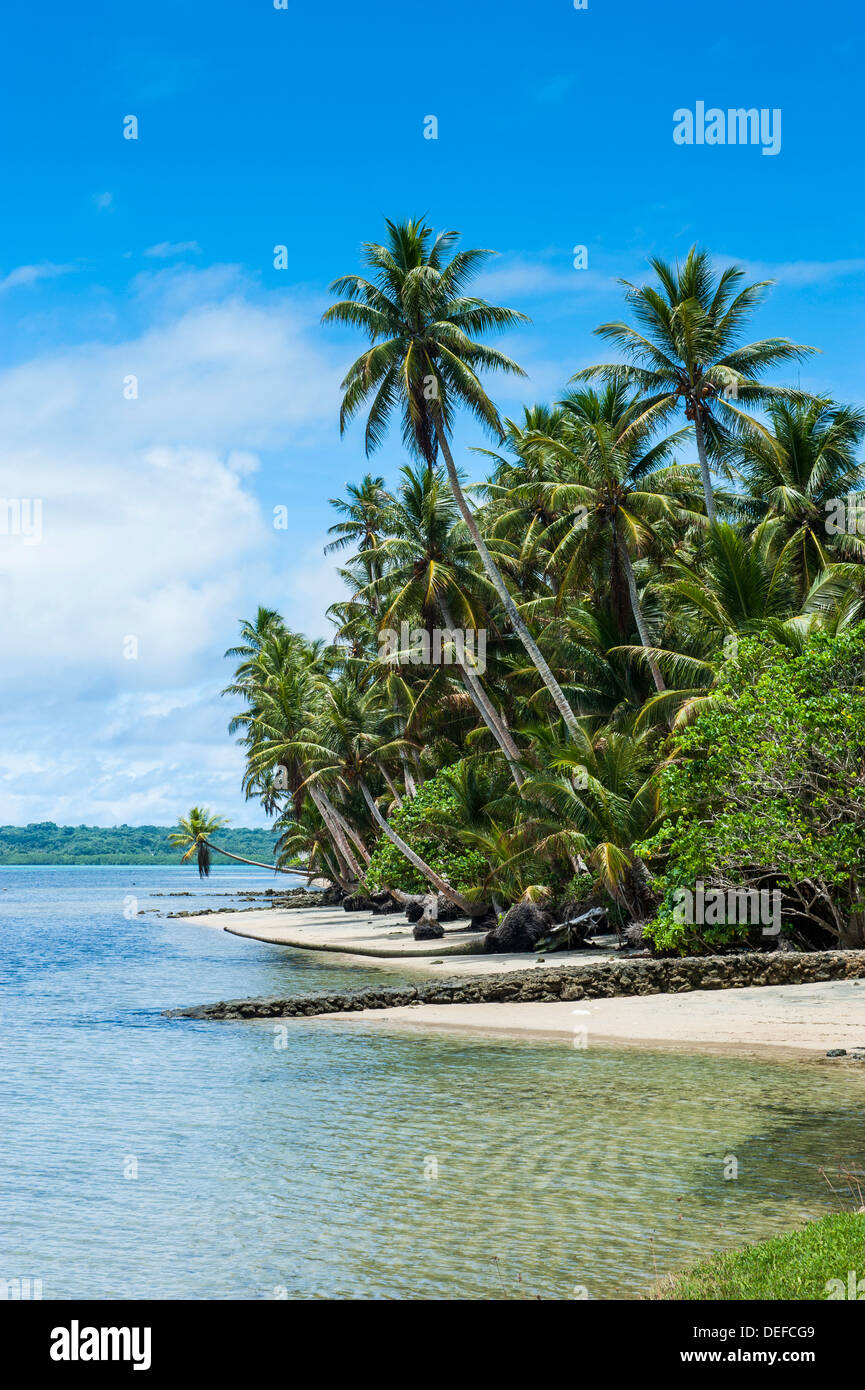 Beautiful white sand beach and palm trees on the island of Yap ...