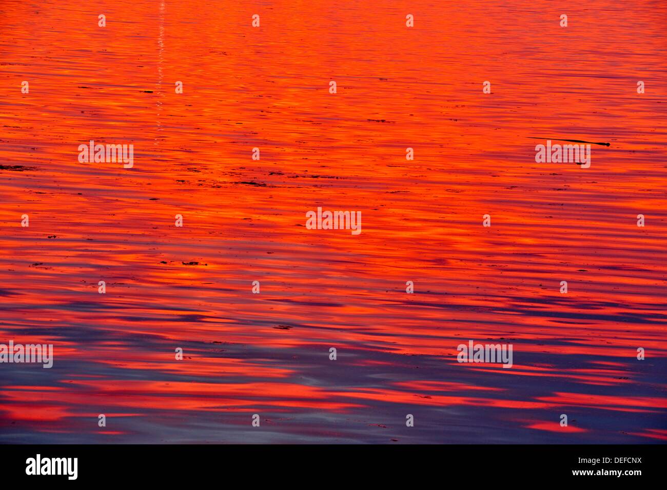 Mcneil island hi-res stock photography and images - Alamy