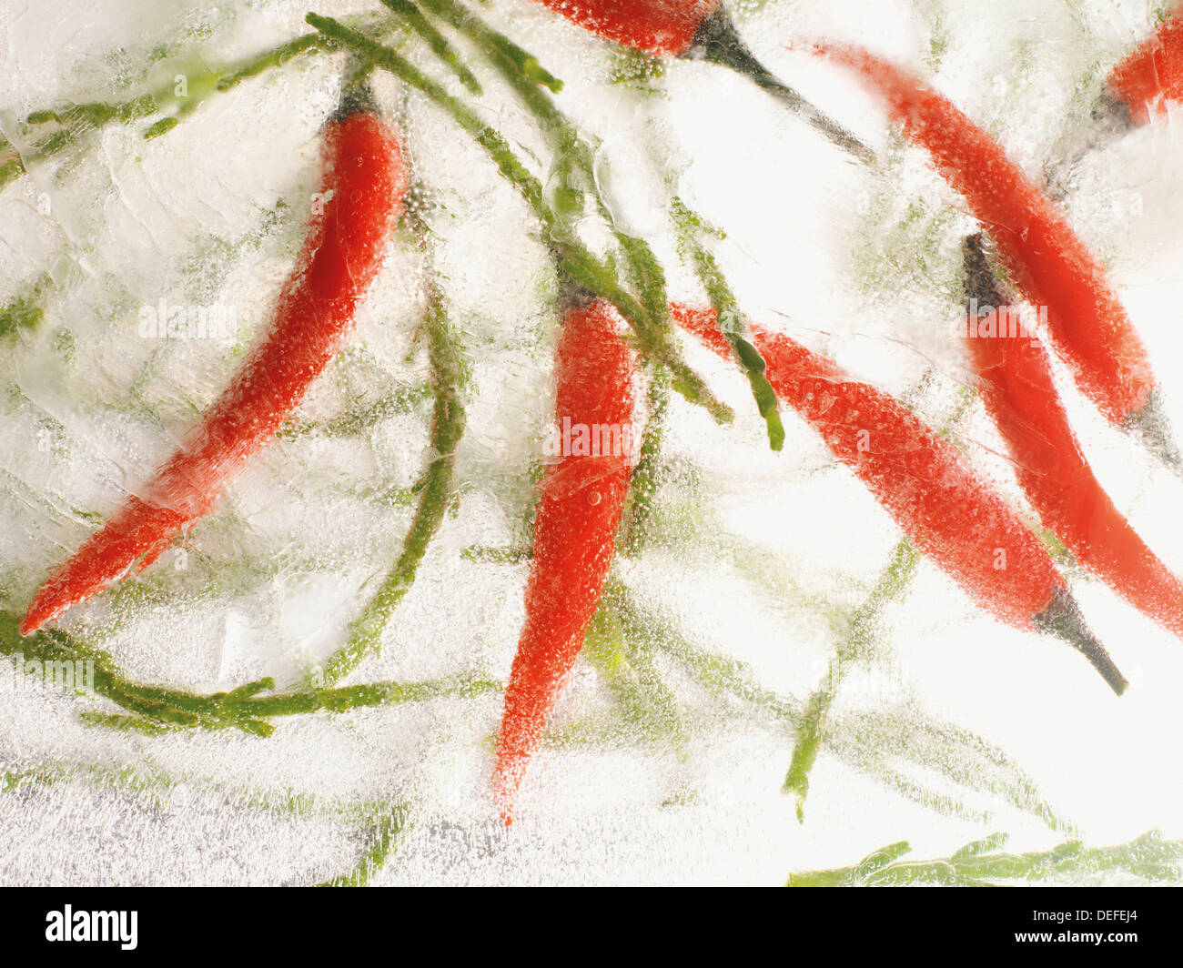Chilli peppers in ice Stock Photo - Alamy