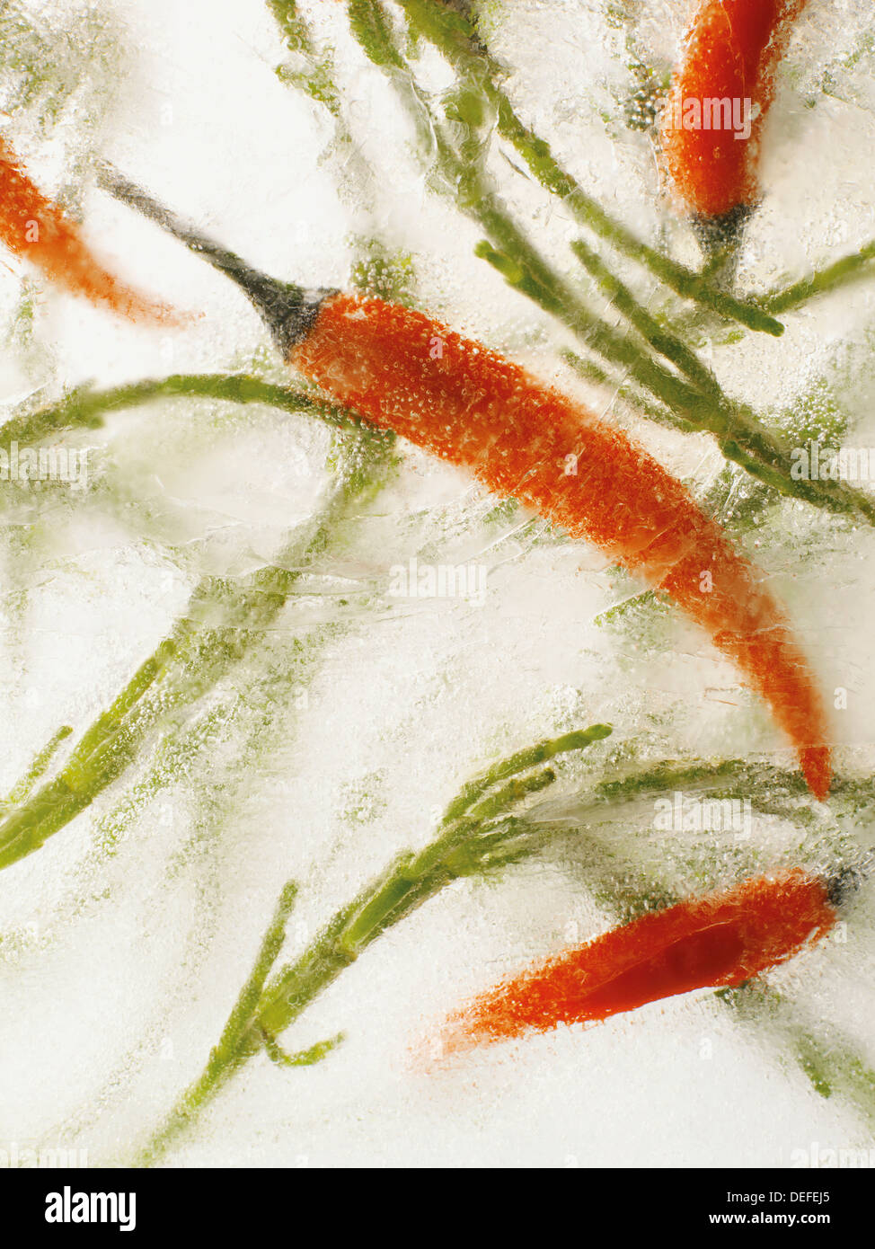 Red chilli in ice hi-res stock photography and images - Alamy