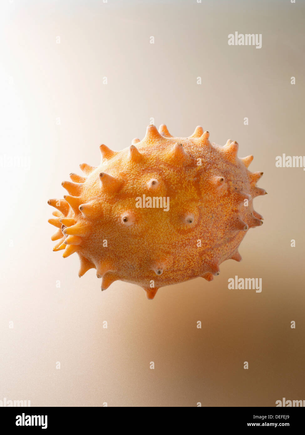 Frosted fruit hi-res stock photography and images - Alamy