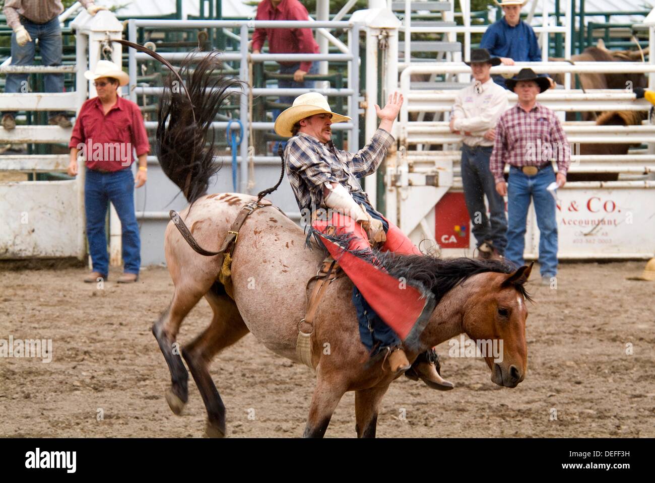 Bronco riding hi-res stock photography and images - Alamy
