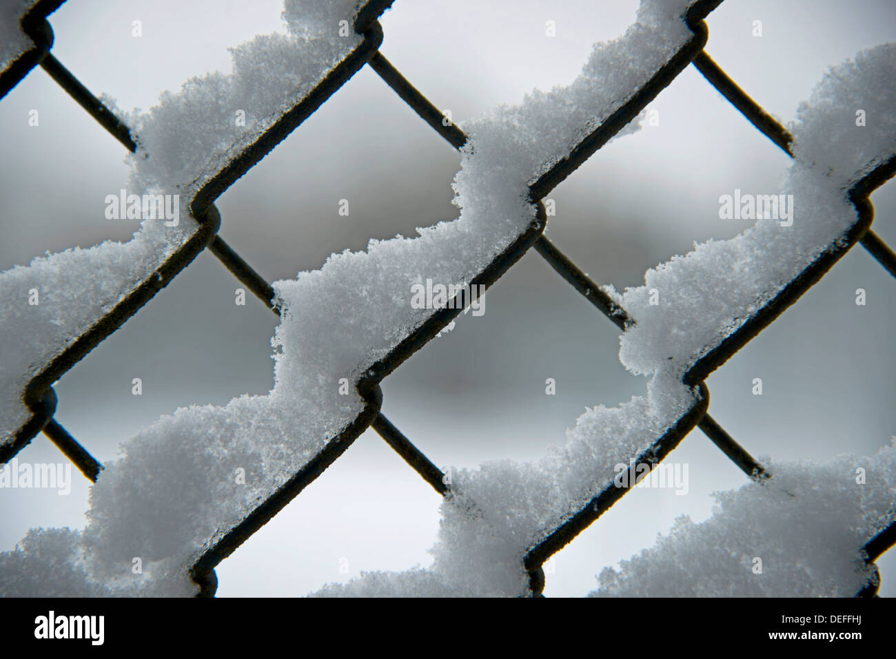 Snow on a chain link fence Stock Photo - Alamy