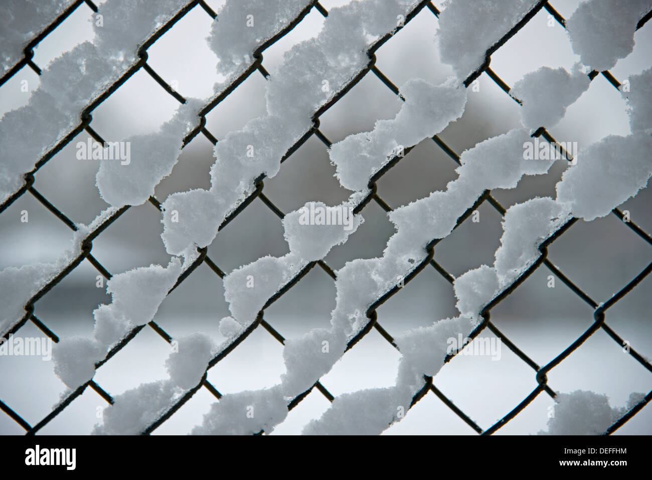 Snow on a chain link fence Stock Photo - Alamy