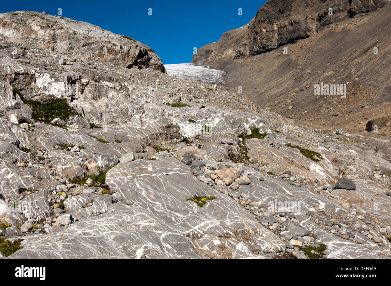 Glacial landscape with rocks carved by Tsanfleuron Glacier, Lapis de ...