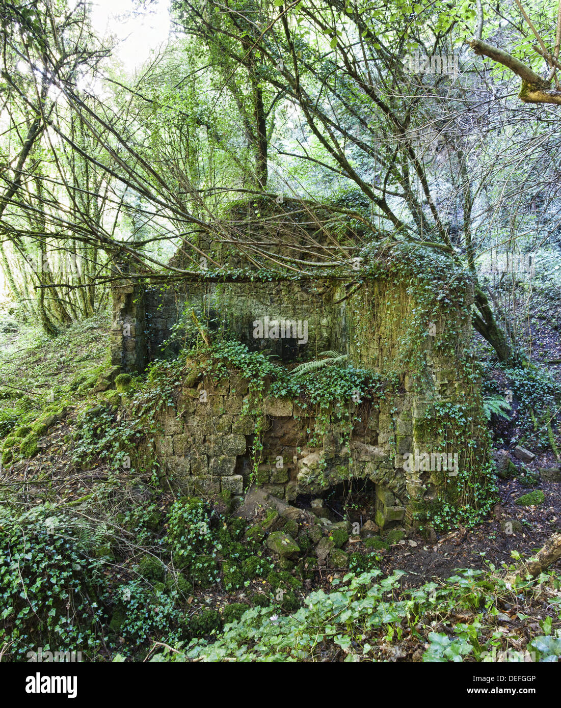 Medieval watermill remains Stock Photo - Alamy