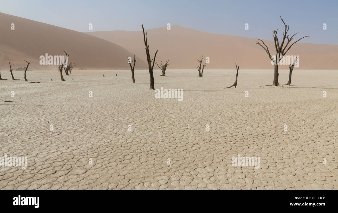 Sandstorm in the namib desert hi-res stock photography and images - Alamy