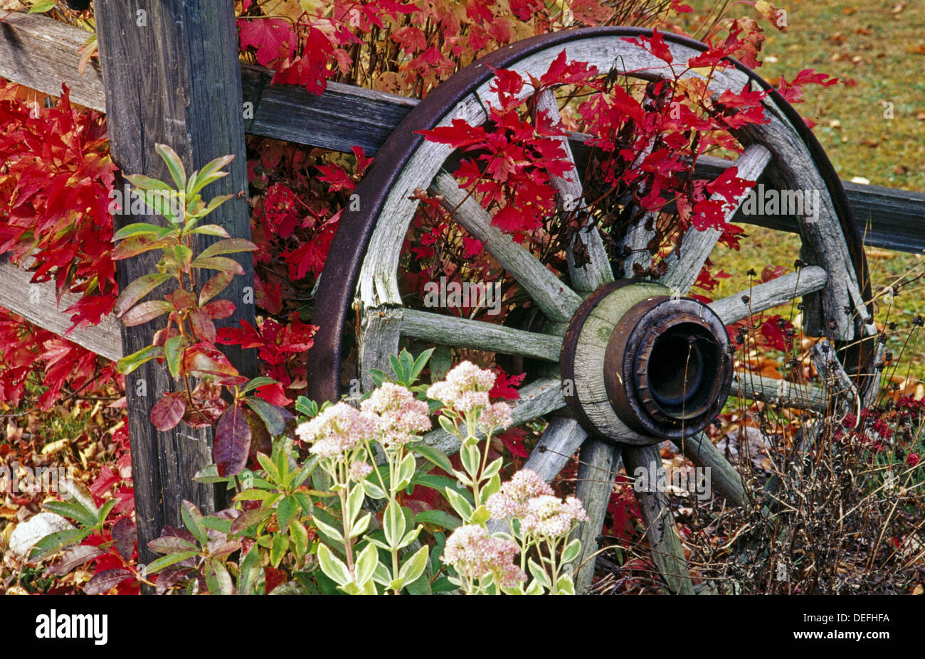 Waggon Wheel High Resolution Stock Photography and Images - Alamy