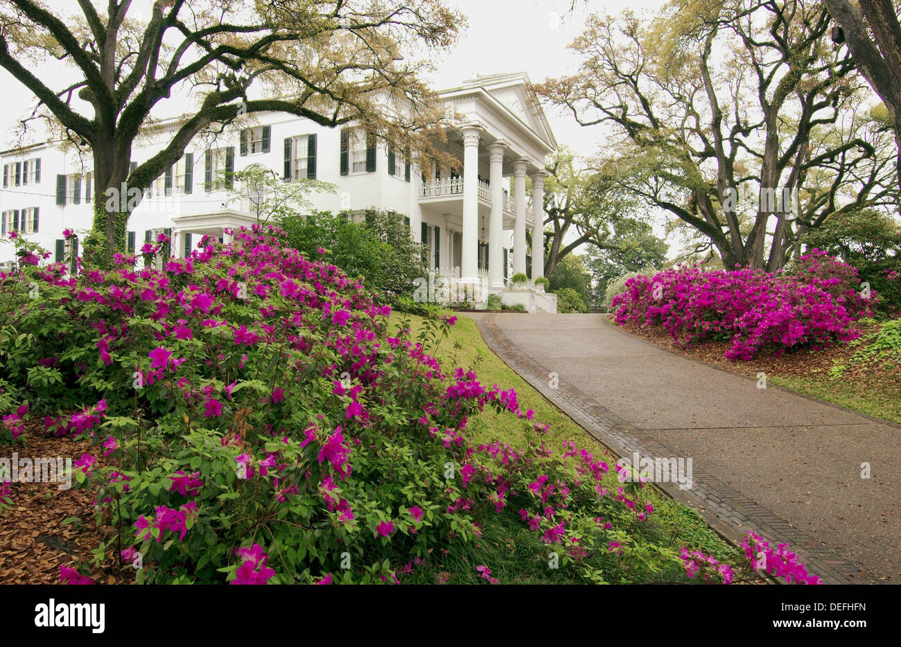 Stanton hall hi-res stock photography and images - Alamy