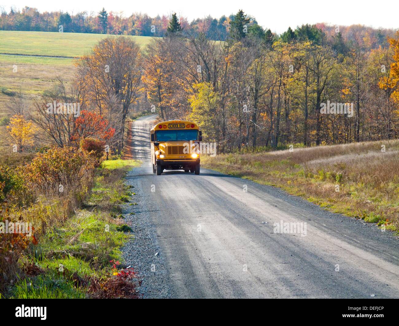 Schoolbus hi-res stock photography and images - Alamy