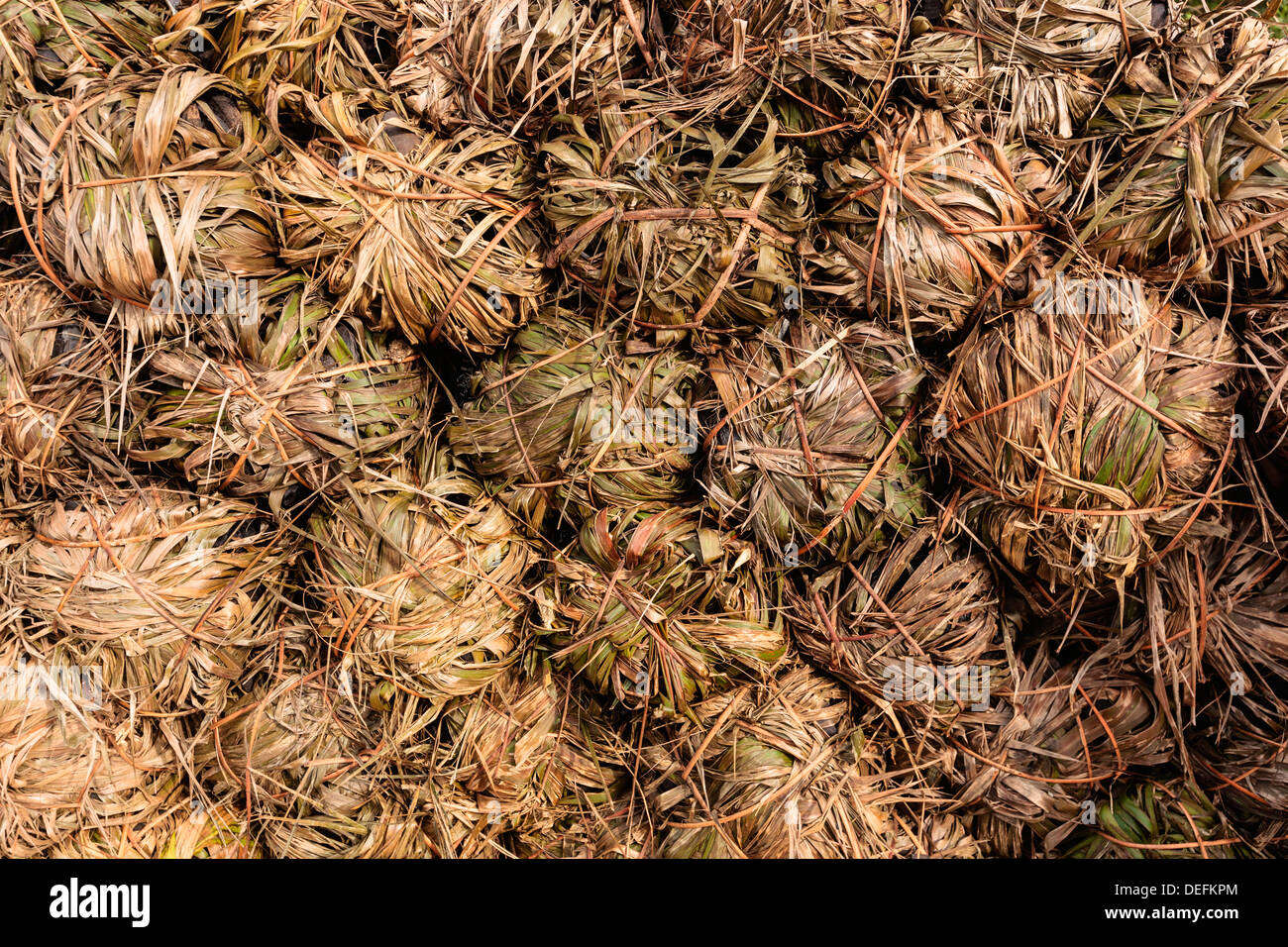 Liberia food hi-res stock photography and images - Alamy