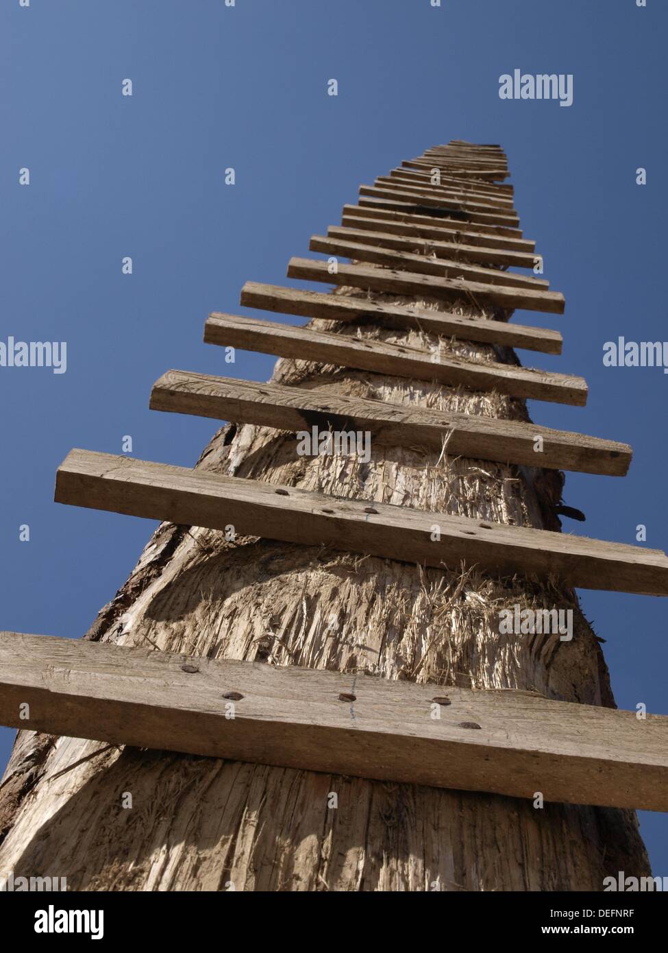 Palo Volador Stock Photos & Palo Volador Stock Images - Alamy