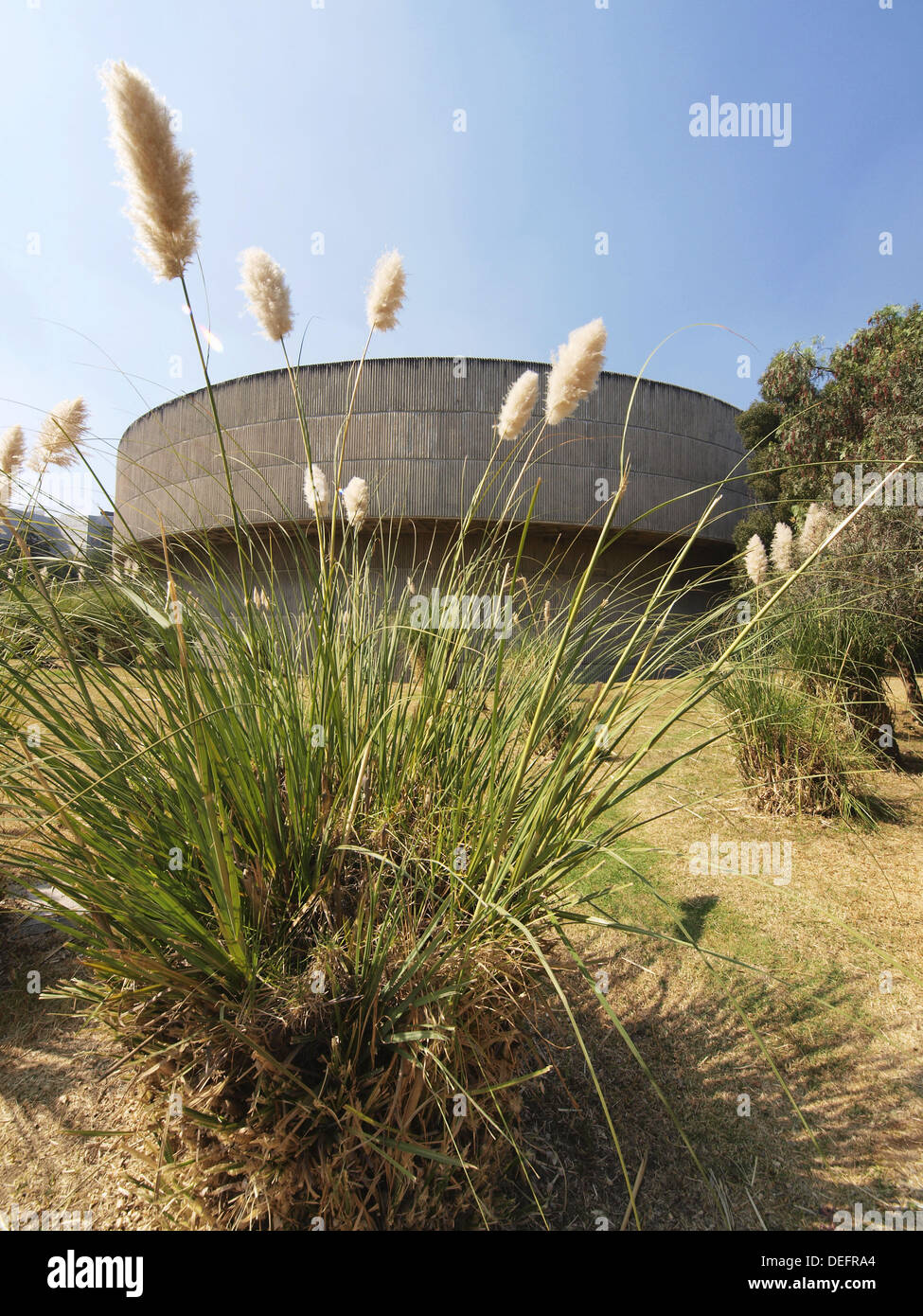 Library mexico unam hi-res stock photography and images - Alamy