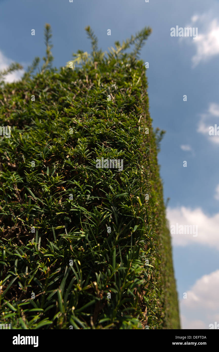 Neat and untidy gardens hi-res stock photography and images - Alamy