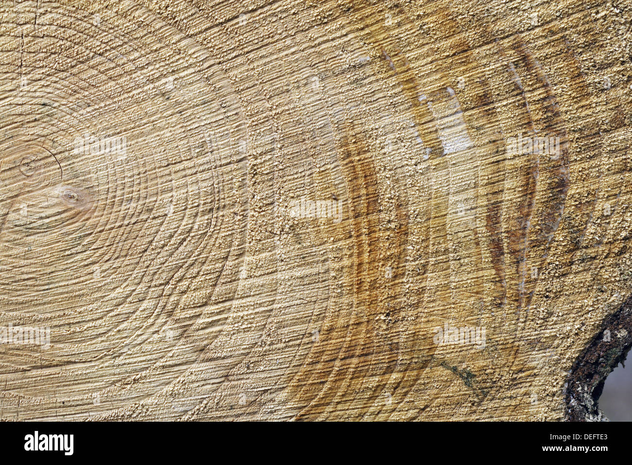 Cut horizontally hi-res stock photography and images - Alamy