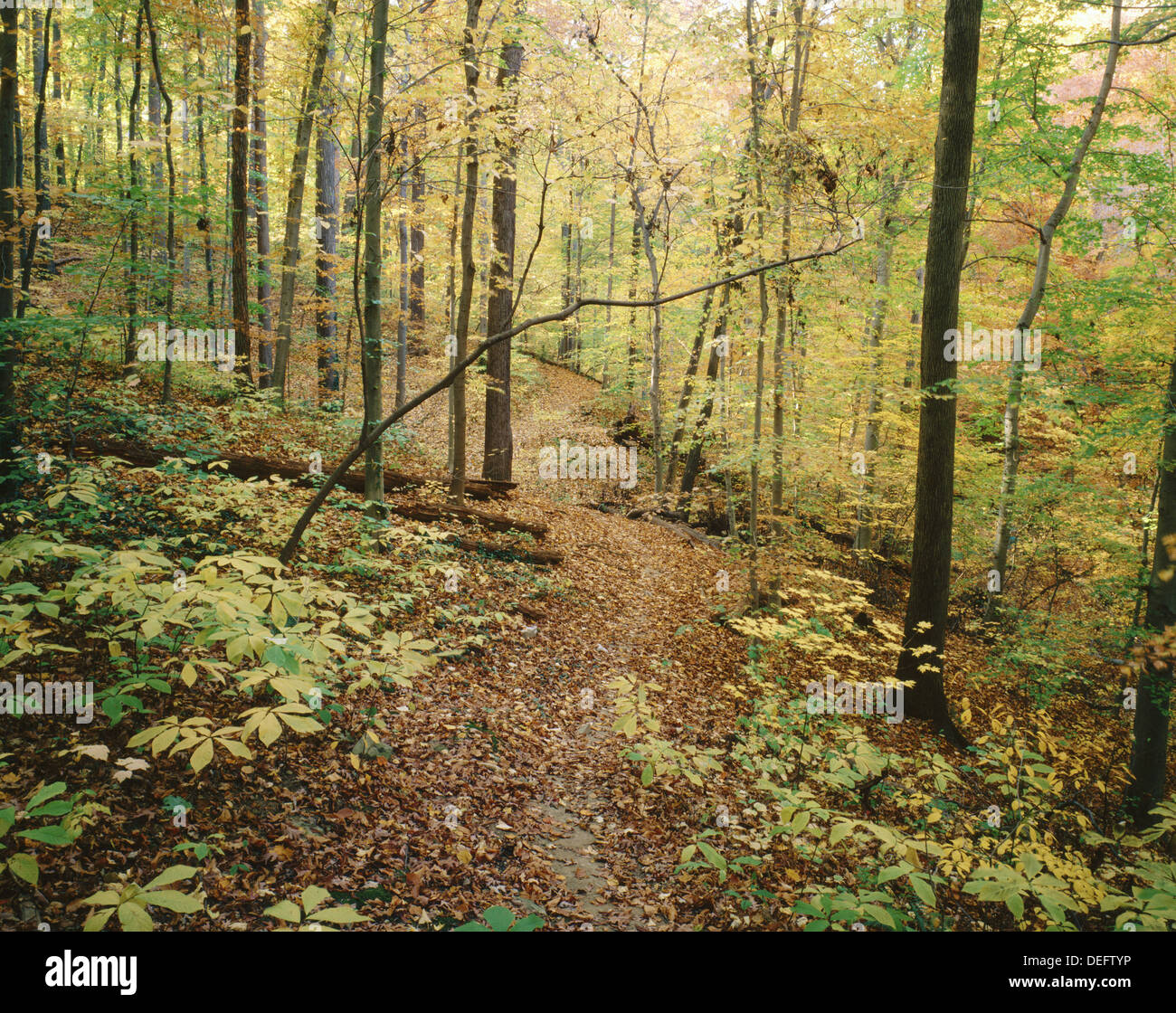 D melvin hi-res stock photography and images - Alamy