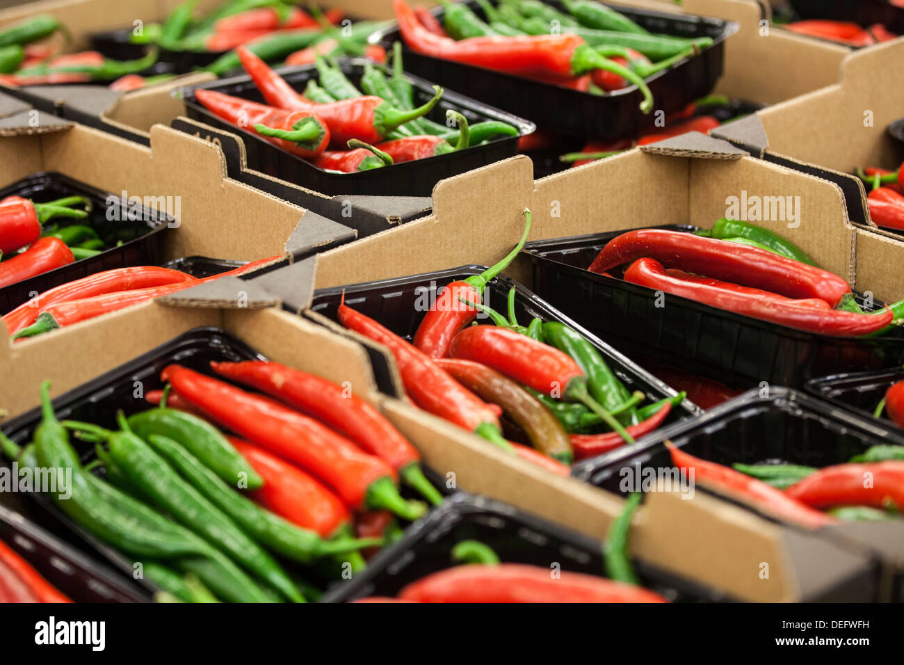 Green chillies drying hi-res stock photography and images - Alamy