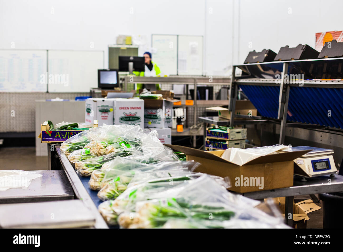 Food production factory uk hi-res stock photography and images - Alamy