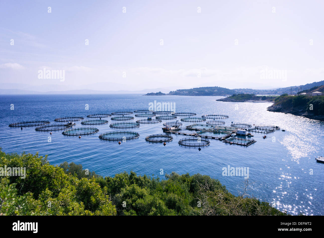 Corfu - fish farm near to Kassiopi Stock Photo - Alamy