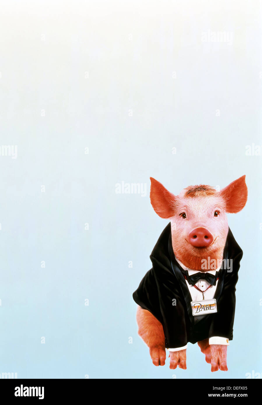 Pig in a Tuxedo Art & Collectibles Painting etna.com.pe