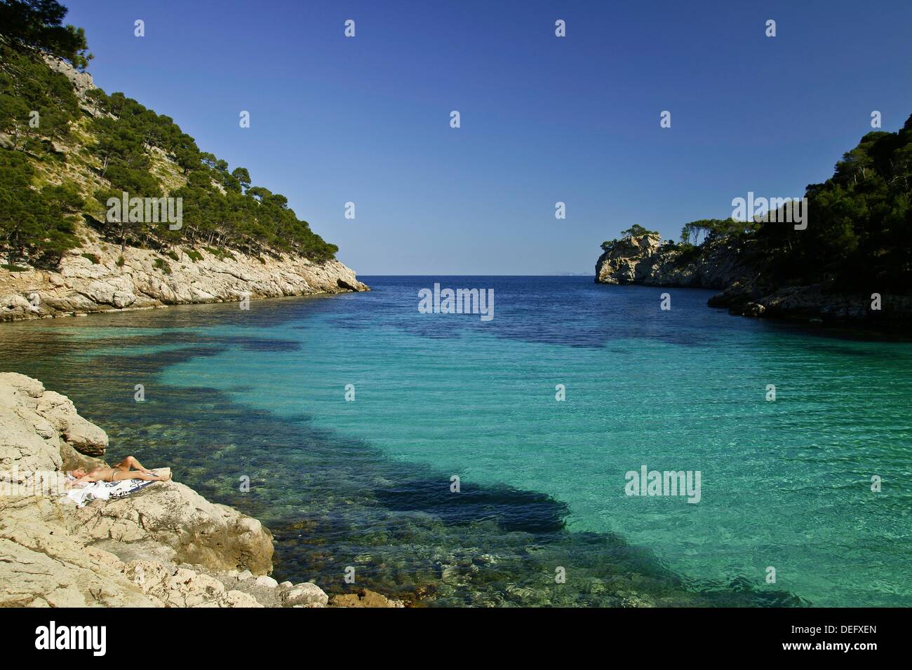 Murta hi-res stock photography and images - Alamy