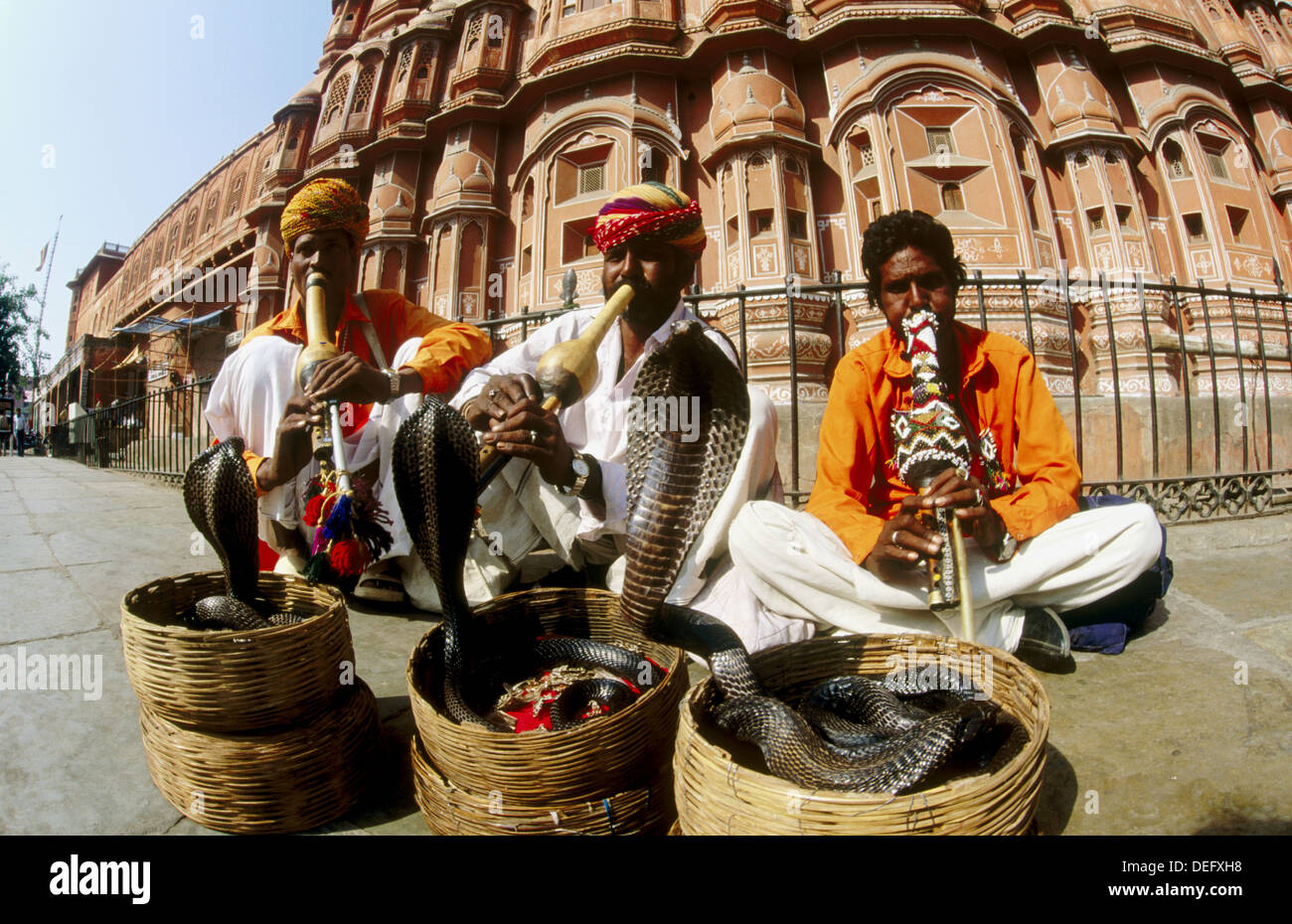 Snake charmer playing flute cobra in hi-res stock photography and ...