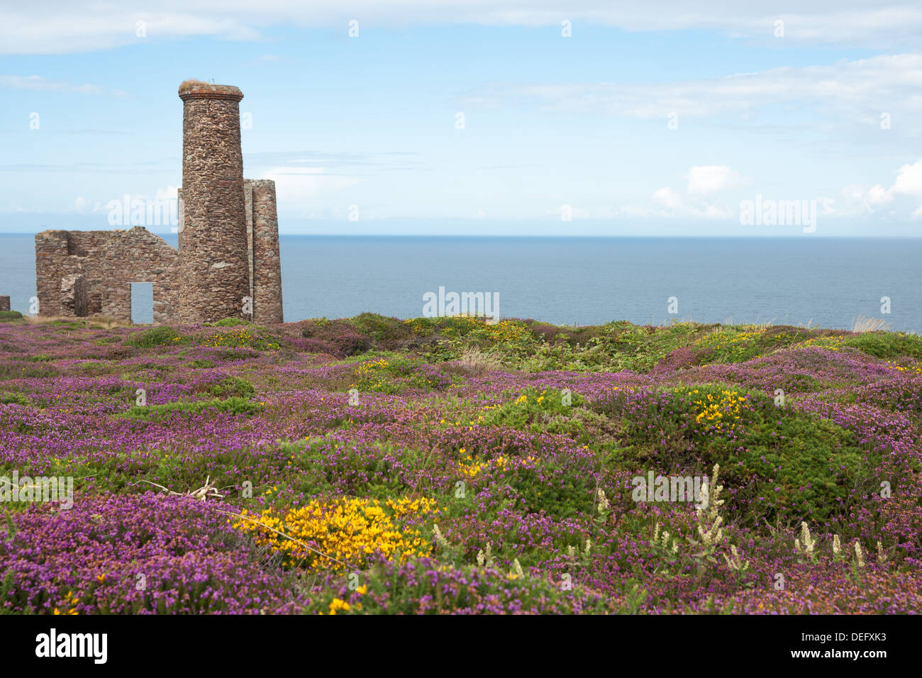 Wildflowers and the sea surround the ruins of the Wheal Coates Engine ...