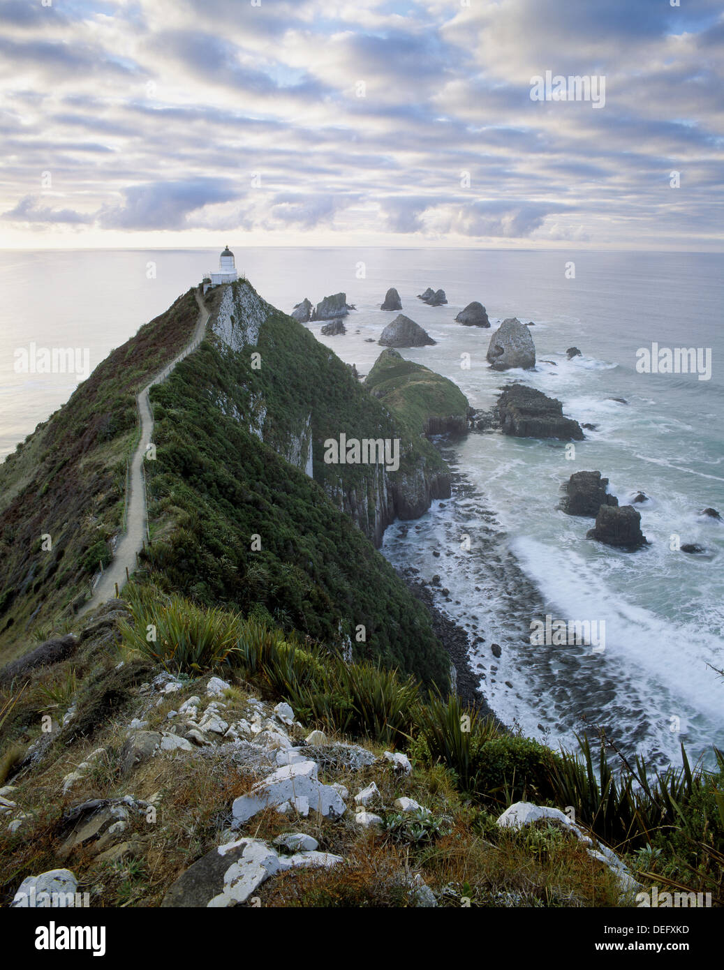Nugget point lighthouse at sunrise hi-res stock photography and images ...
