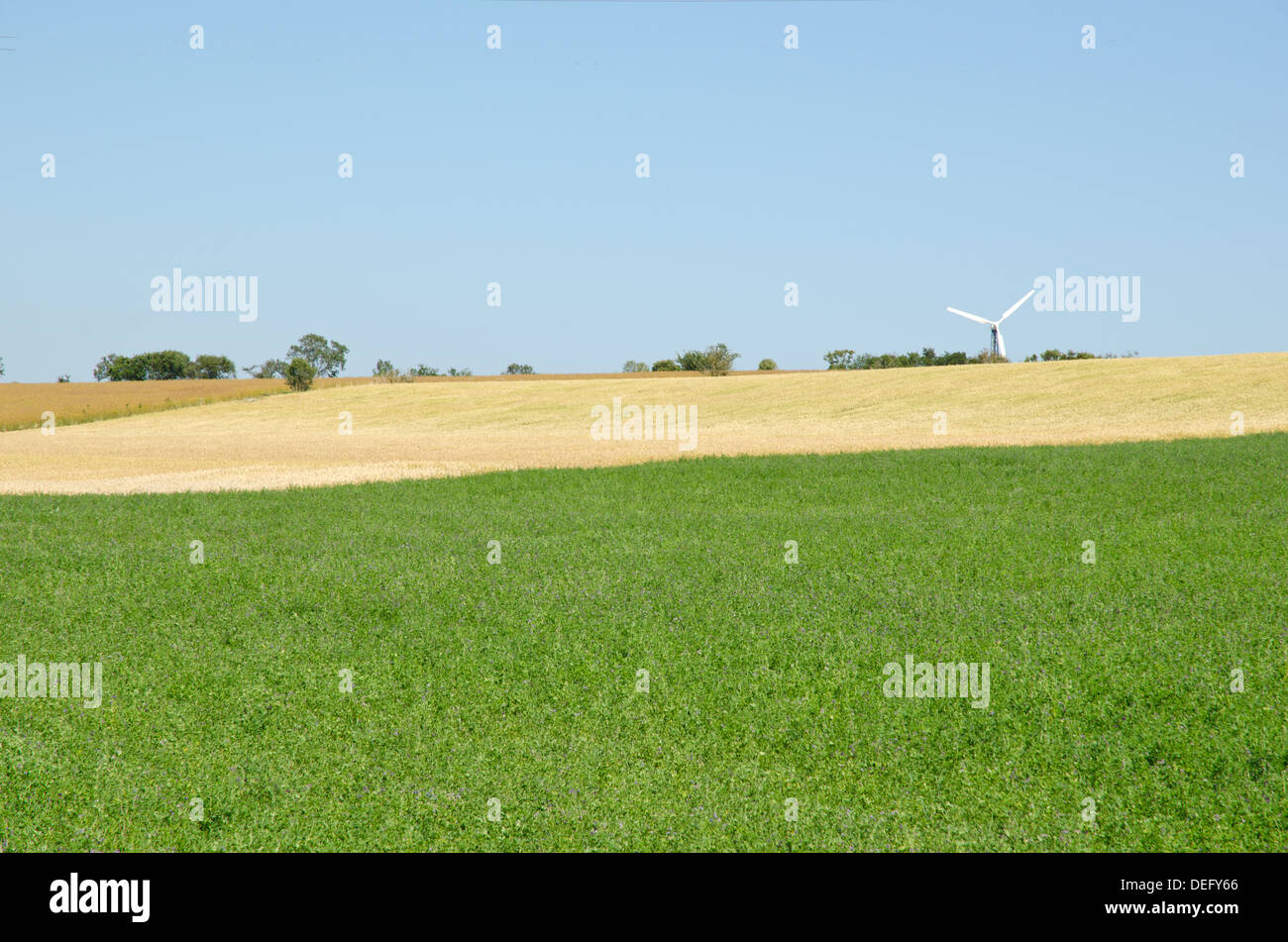 Field fields pattern hi-res stock photography and images - Alamy
