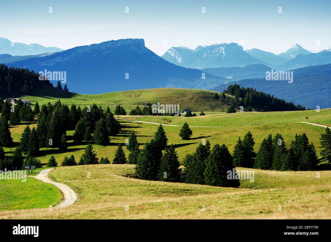 Pathway into the French Alps Stock Photo - Alamy