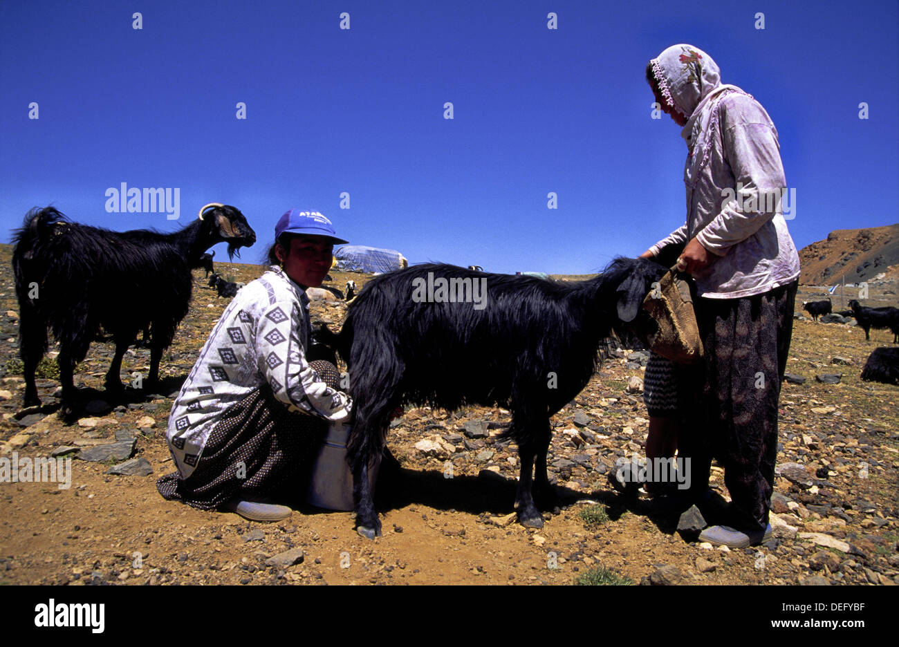 Turkey Indigenous People High Resolution Stock Photography and Images ...