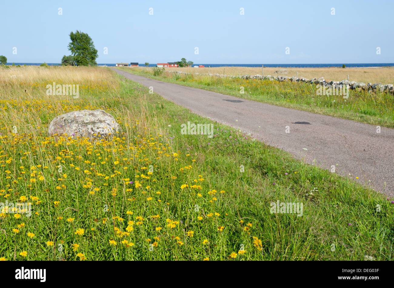 Yellowhead road hi-res stock photography and images - Alamy