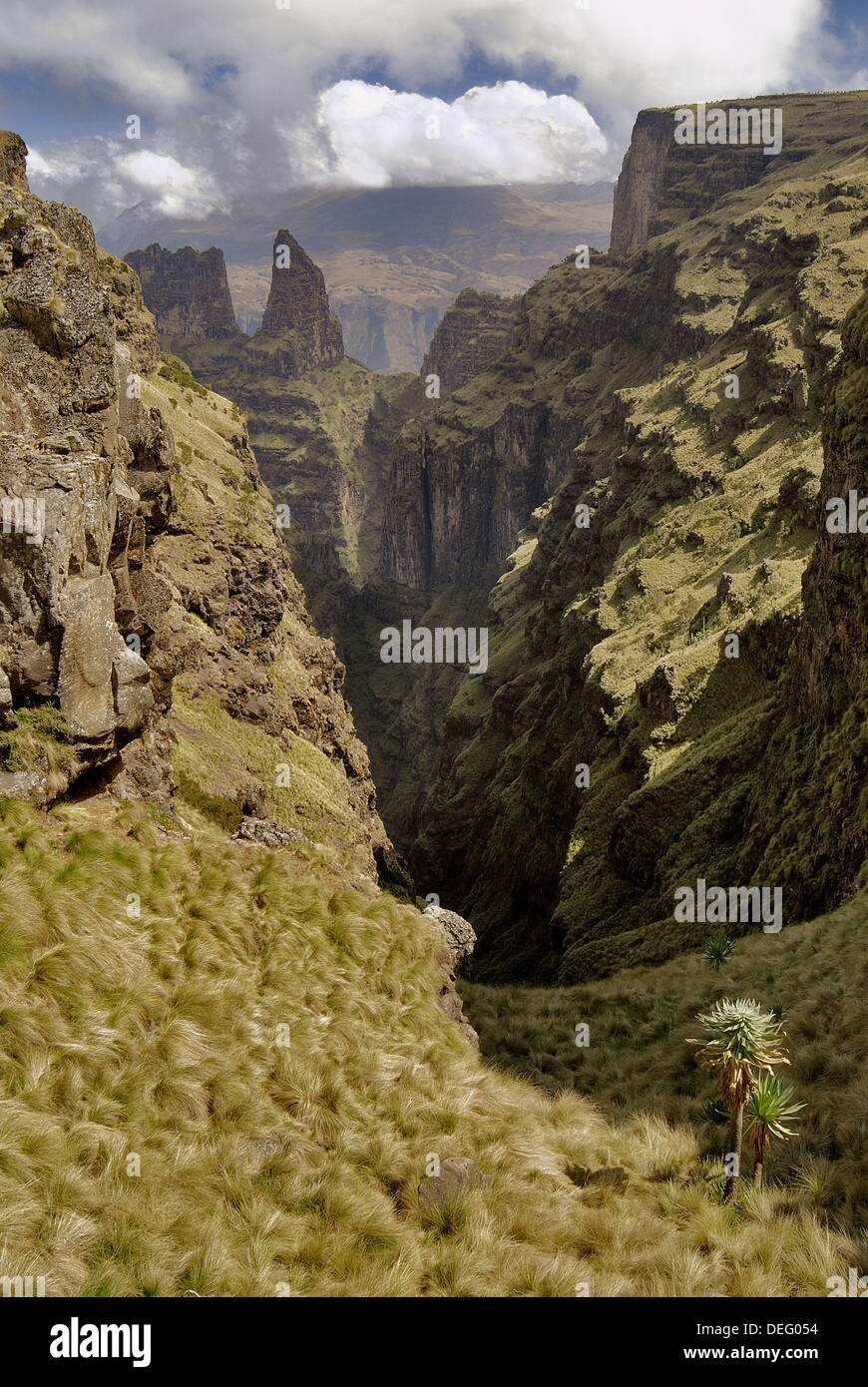 Simen mountains national park hi-res stock photography and images - Alamy