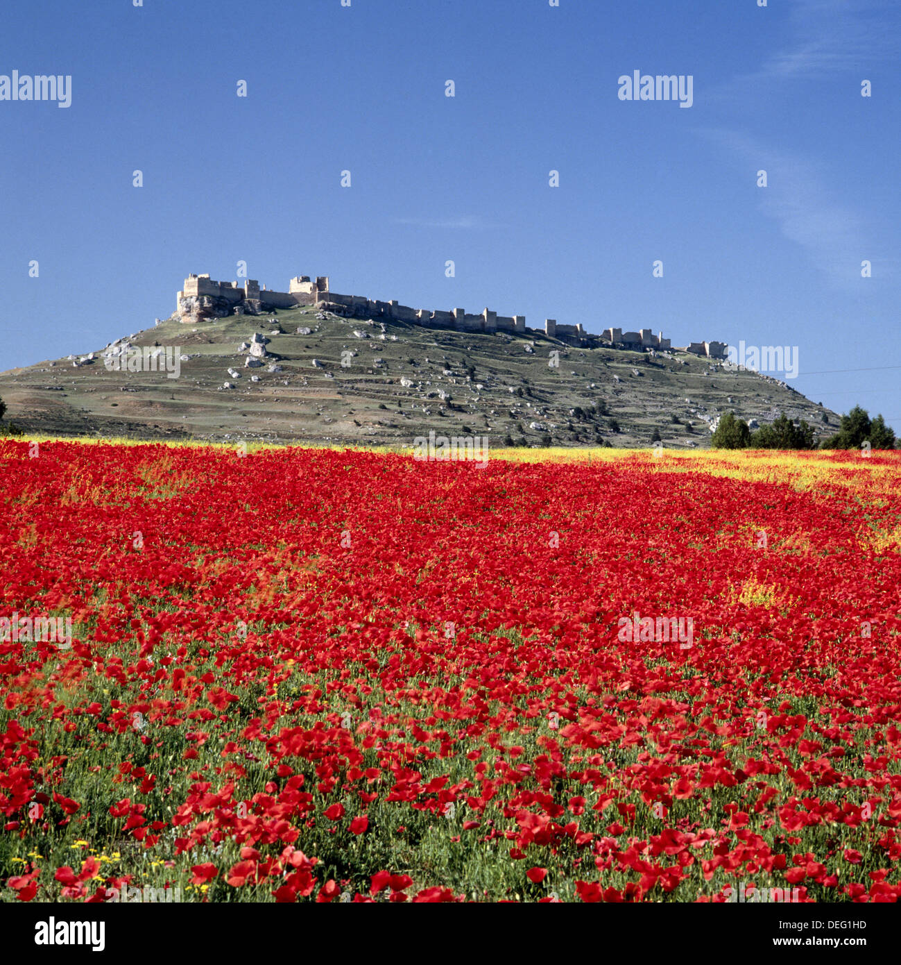 Caliphal fortress of gormaz hi-res stock photography and images - Alamy